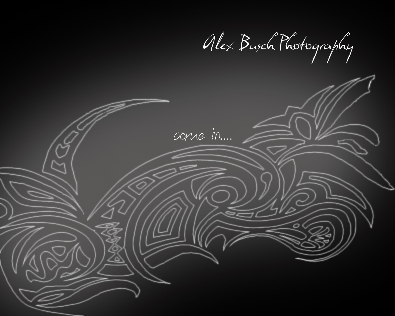 Alex Busch Photography